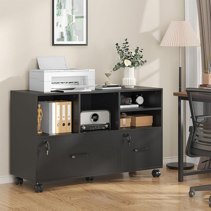 Latitude Run® 2 Drawer Mobile Lateral File Cabinet, Lockable Rolling Filing Cabinend Cabinet for ...